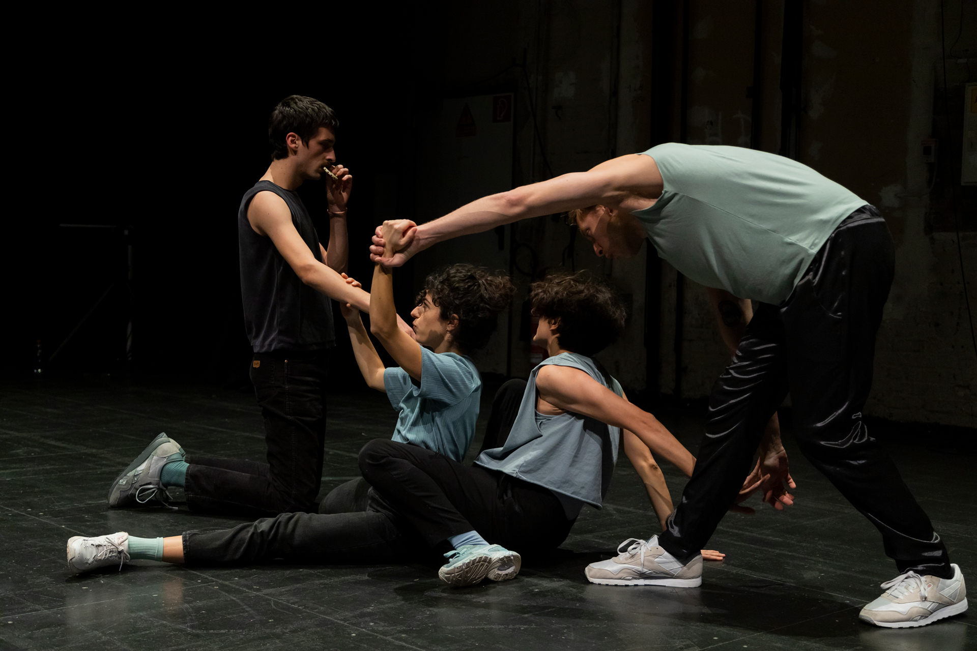 Luísa Saraiva — HARK!